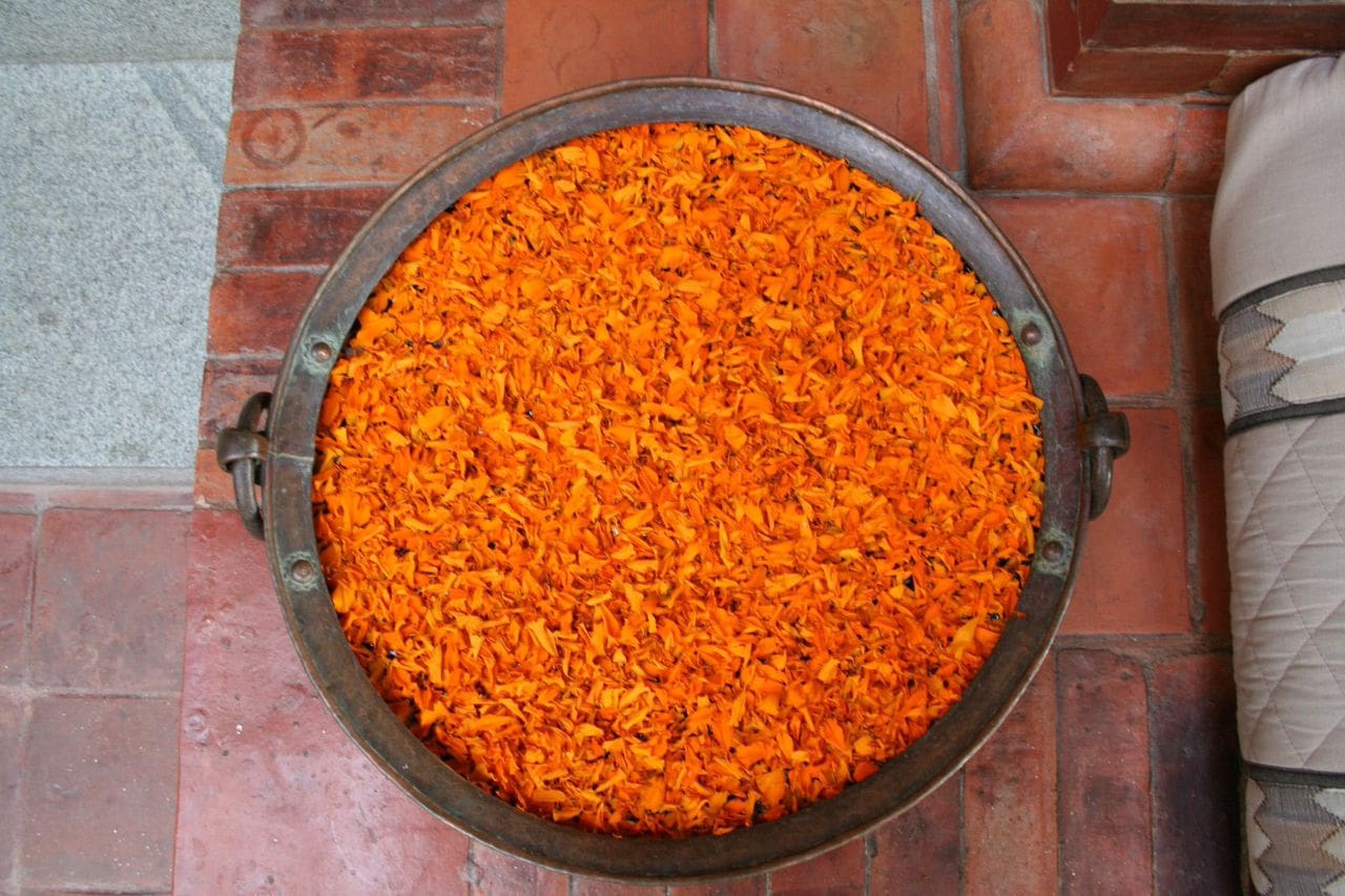 Jet-Set Dispatch: India and Nepal with Ryan Reitmeyer | PaperCity Magazine