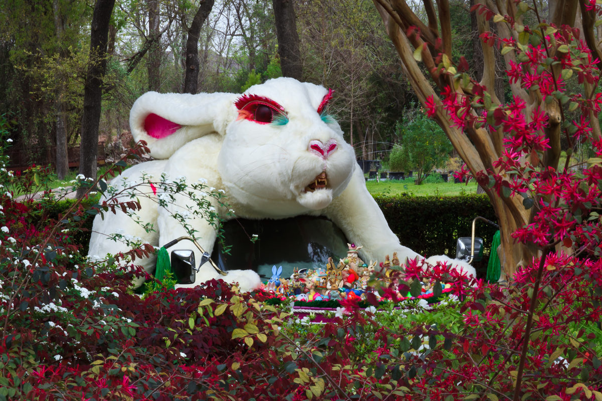 Rabbits Gone Wild: Easter's Departed, But Fluffy Bunnies Are Just ...