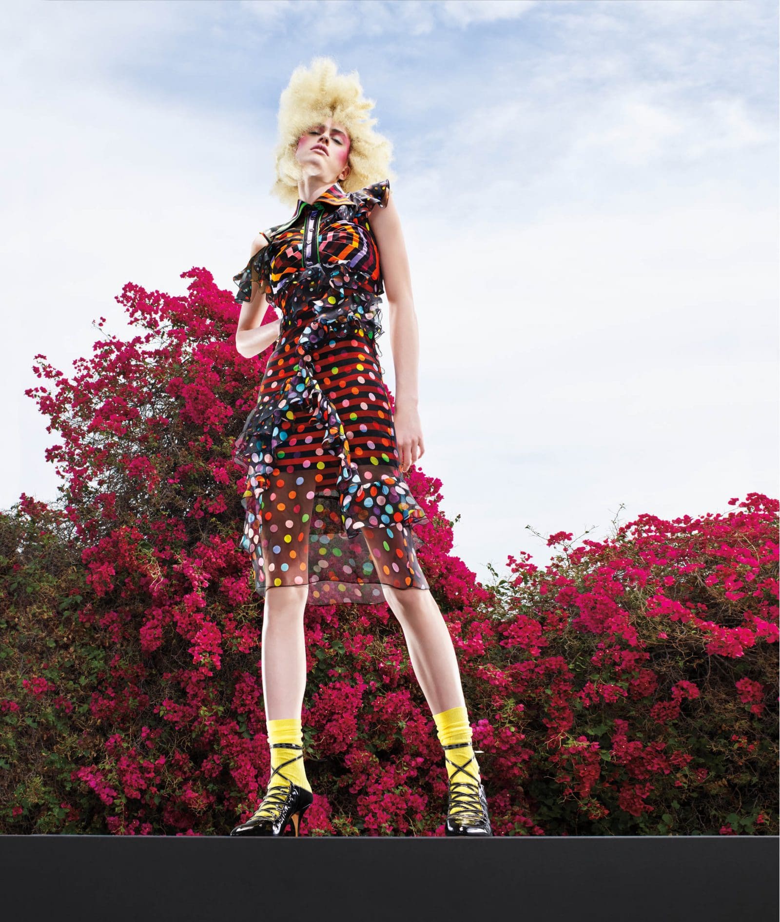 Texas Advertising Mastermind Returns to the Catalogue Game: The ...