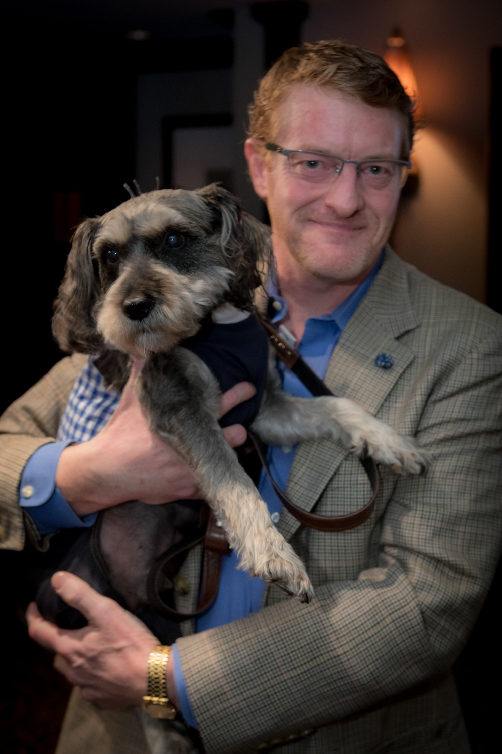 Fancy Dogs Raise $100,000 in a True Best Friends Brunch: Doggie Fashion ...