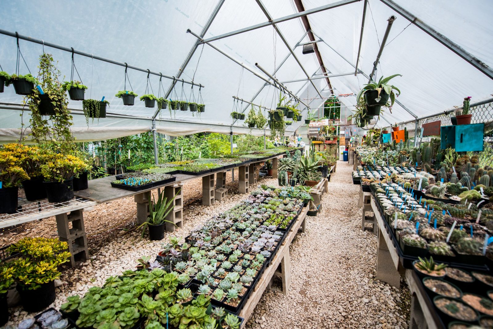 The Austin Only True Insiders Know — an Unconventional Guide to Texas ...