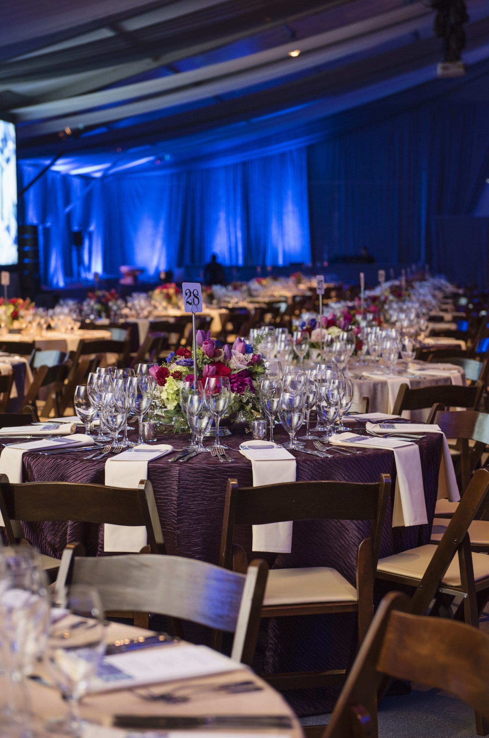 Superstar Pop Singer Wows 600 VIP Guests in a Lavish Tent Party: New ...