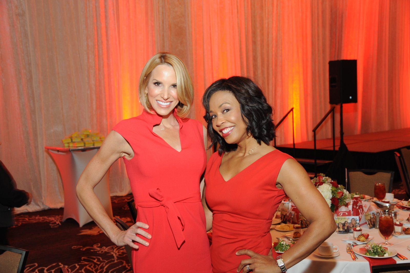 Morning TV Superstar and a Crowd of Houston Power Women Raise $1.1 ...