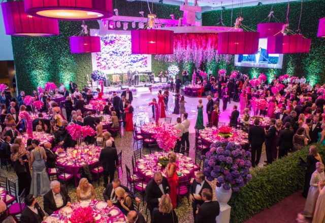 Houston's Most Beautiful Gala Ever Turns Into a $2.3 Million Night ...