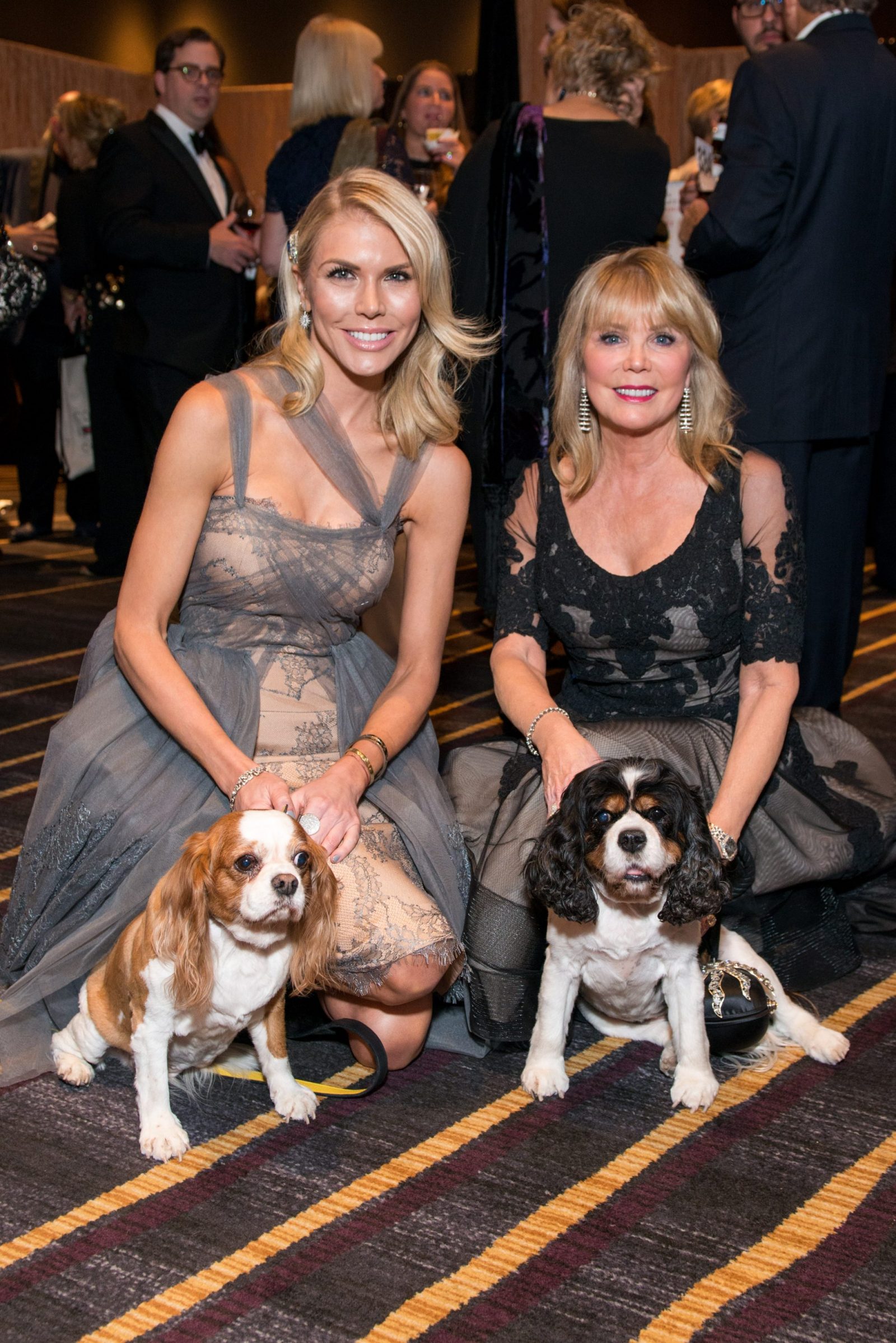 Celebrity Pets of the Year Bring a Little Bit of Hollywood to Houston ...