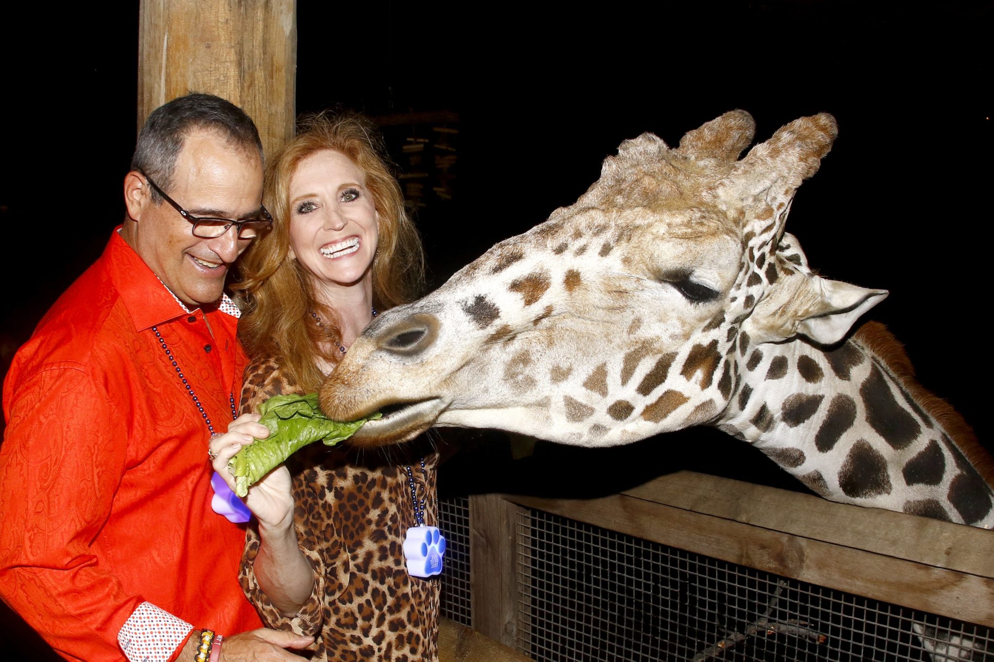 The Dallas Zoo After Dark — When More Than the Animals are Wild ...