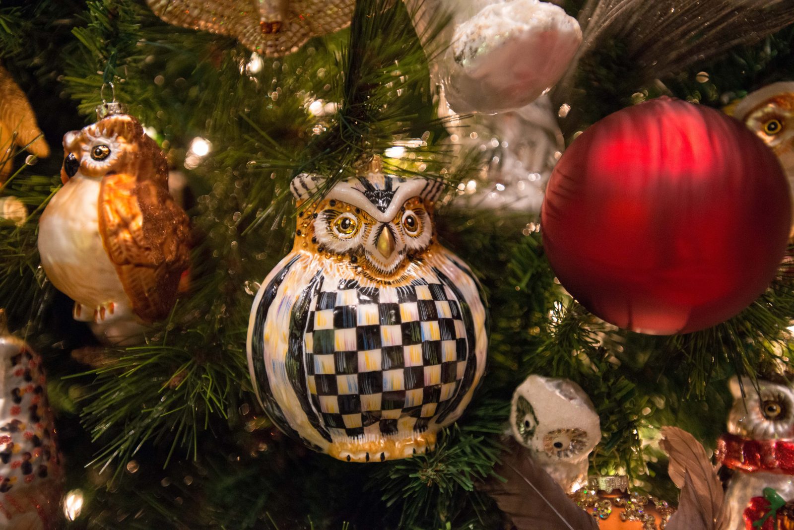 Houston's Most Beautiful (and Intense) Christmas House: 13 Trees ...