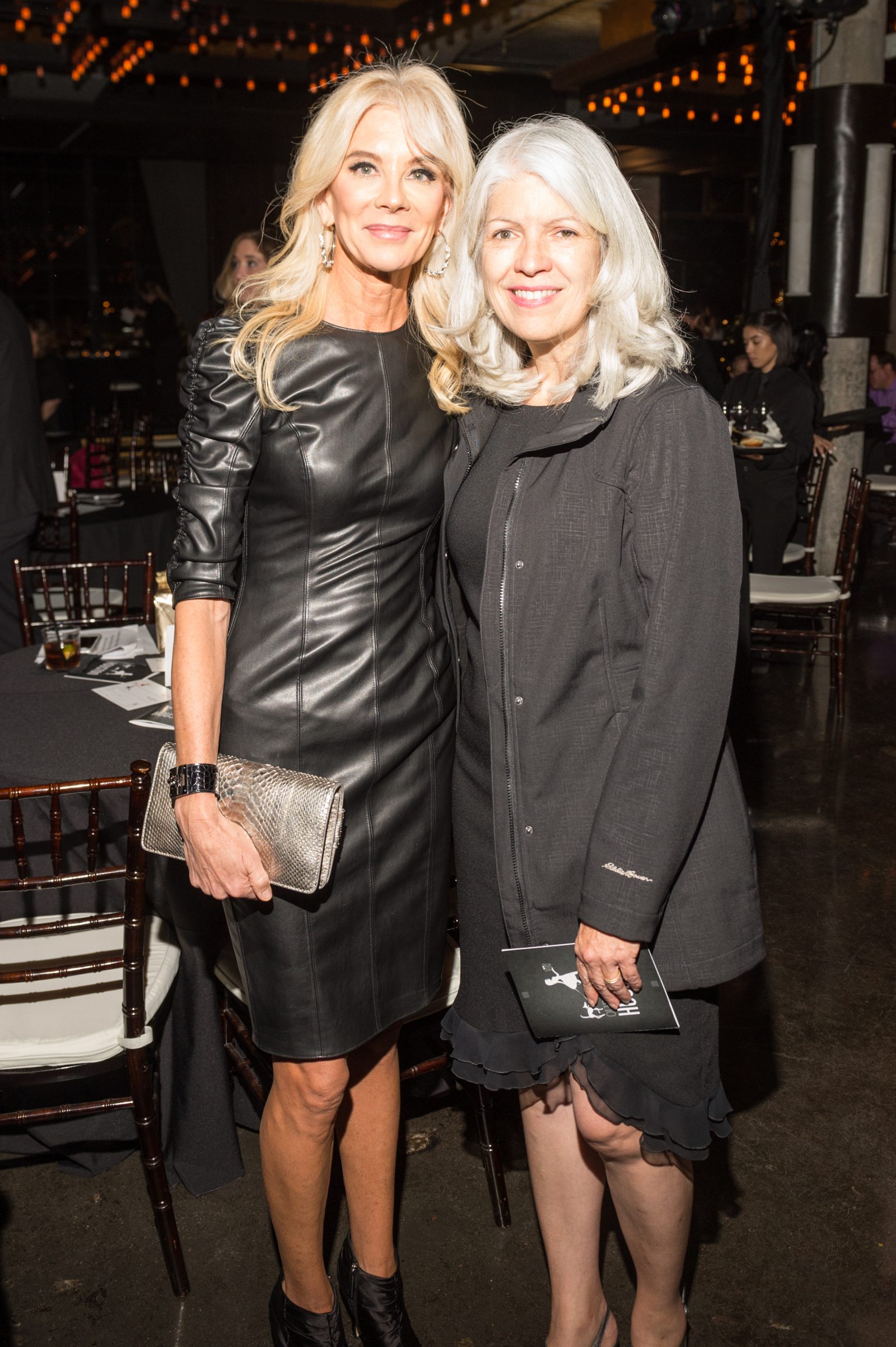 Plight of Homeless Animals in Houston Addressed by Some of the City's ...