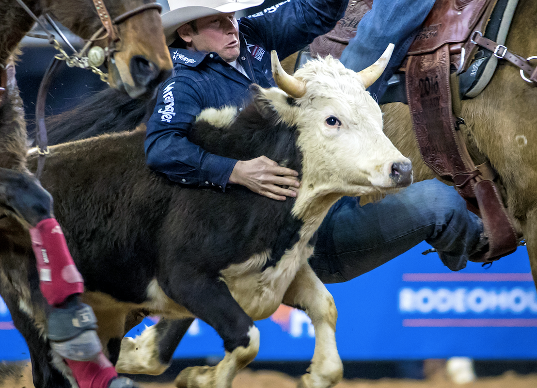 Wrestling Steers in the Land Where J.J. Watt Roams: A Dogged Rodeo ...