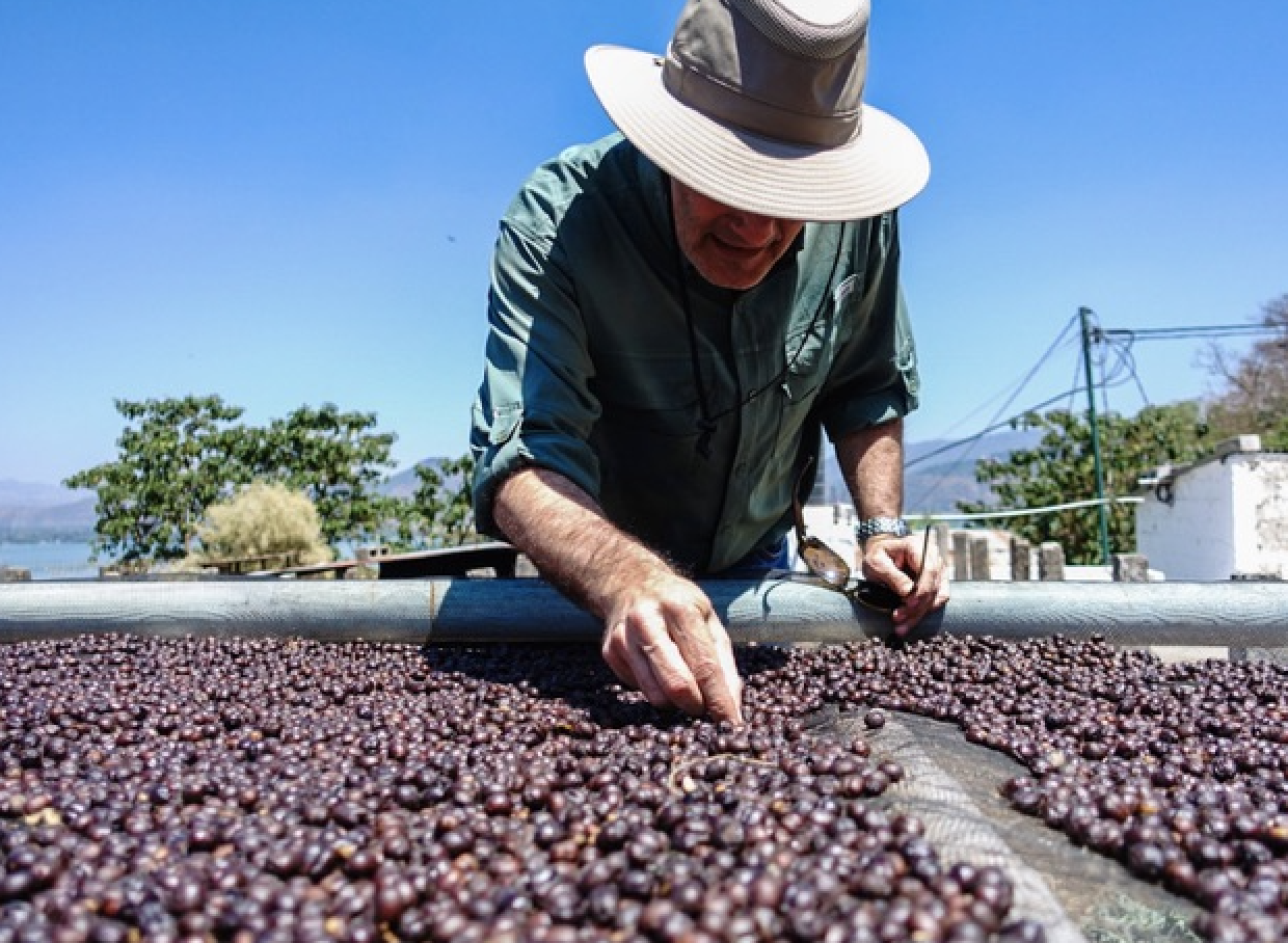 Houston's Hottest New Coffee Shops: A New Wave of Unique Caffeine ...