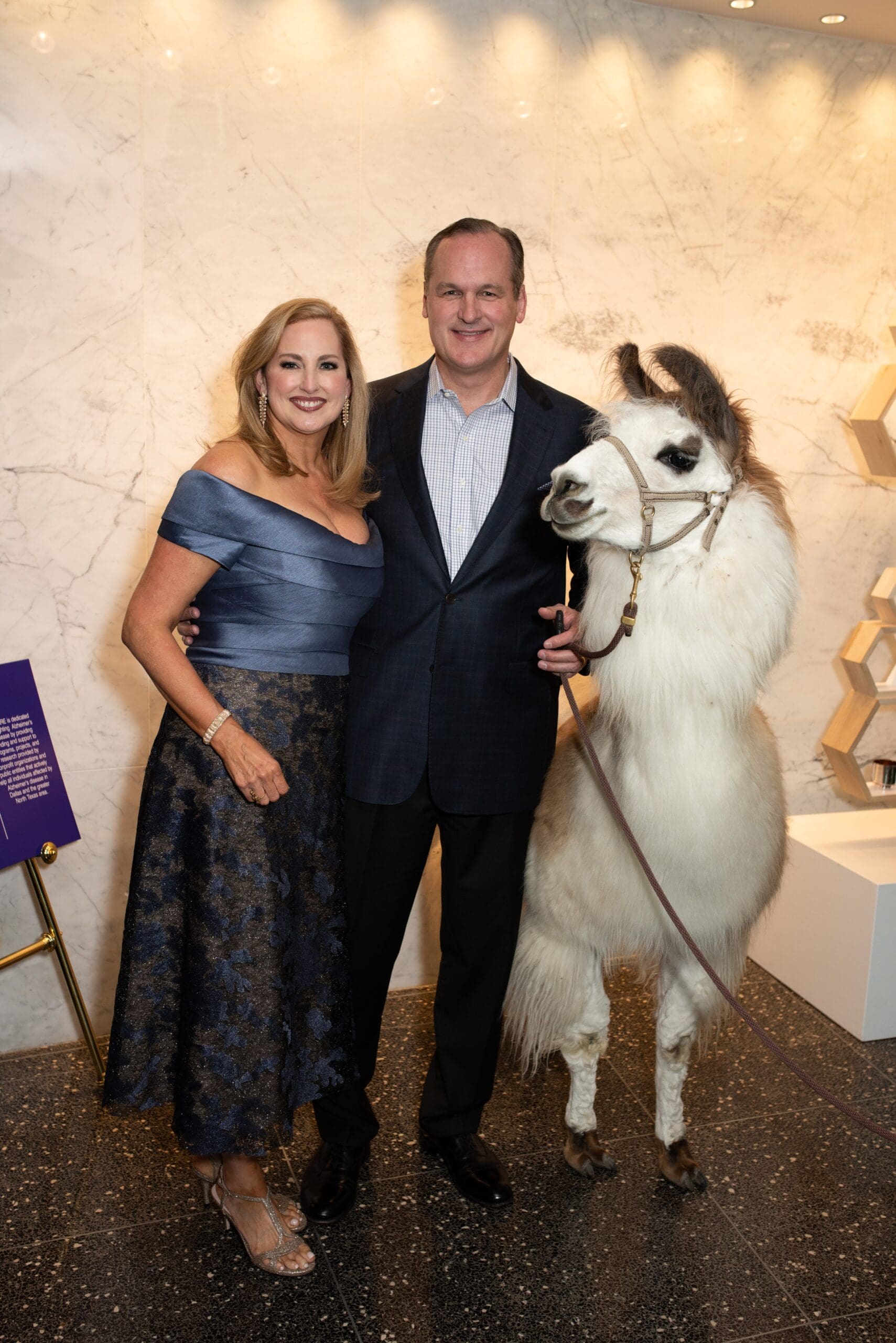 Llamas Take Over Dallas' Retro Hotel Palace, But This is No Ordinary ...