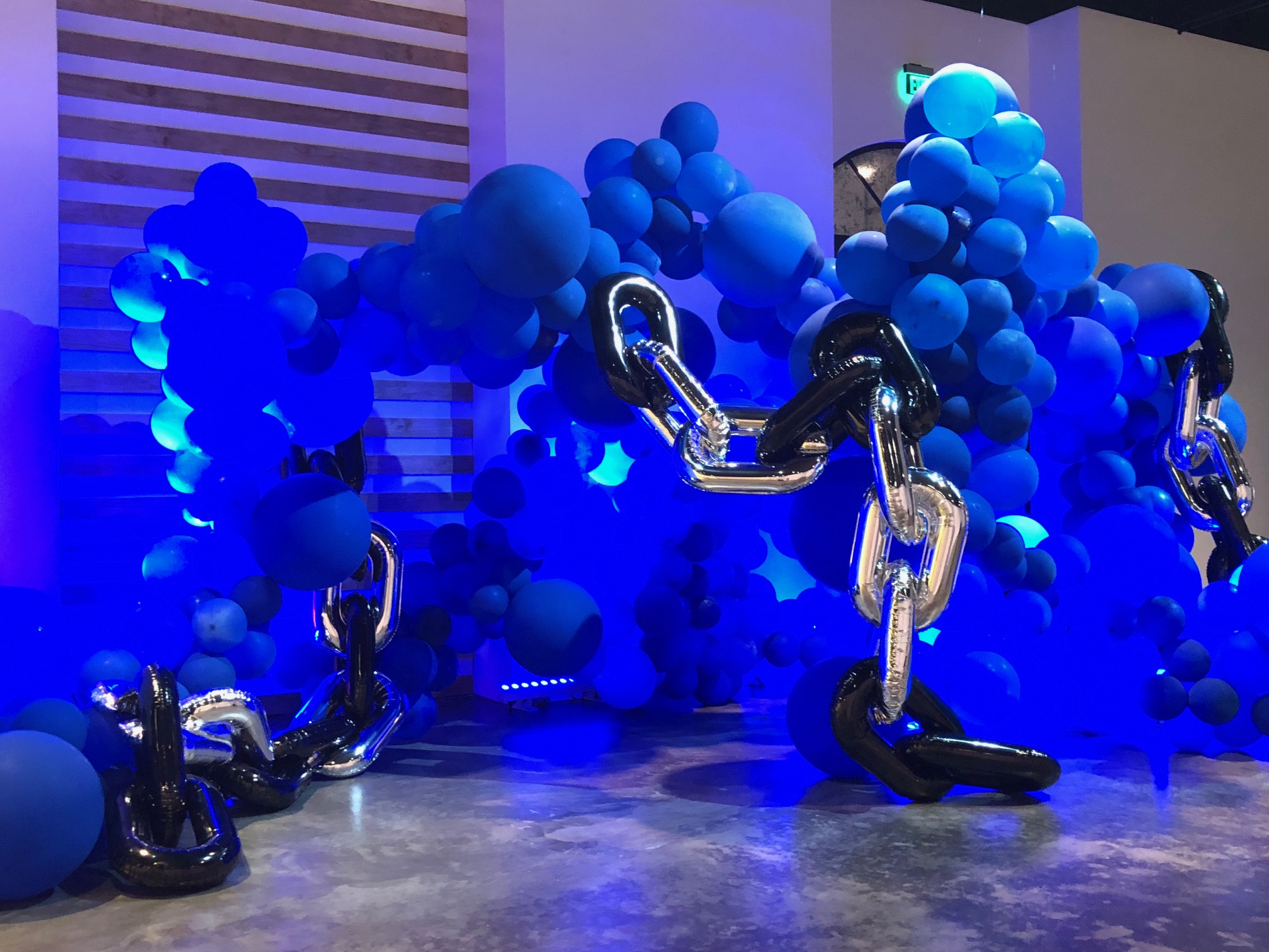 Magical Big Ass Balloons Take Over Houston — and This Party Planner's ...