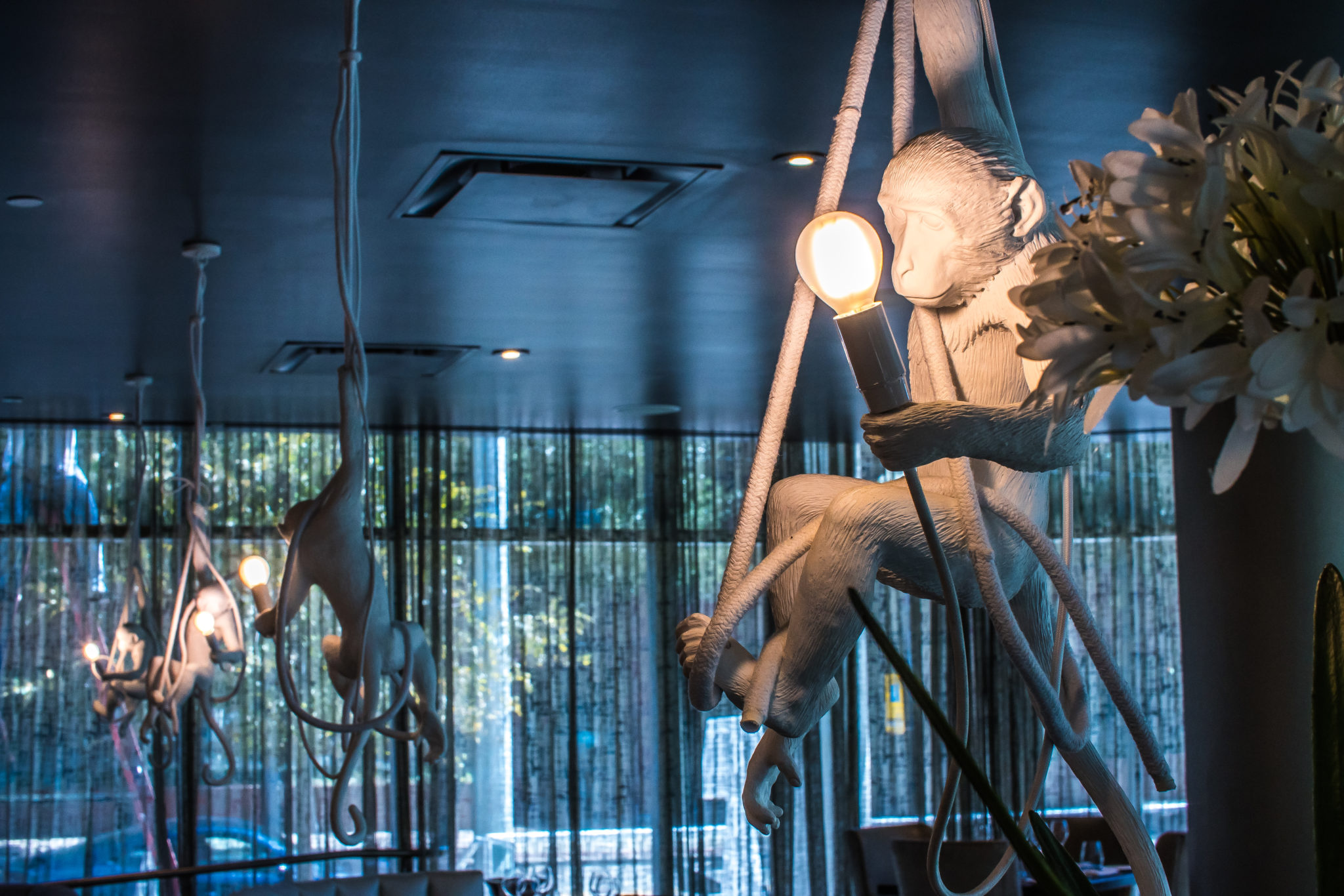 Super Hyped Dallas Restaurant With its Own Pool Suddenly Shutters Amid ...