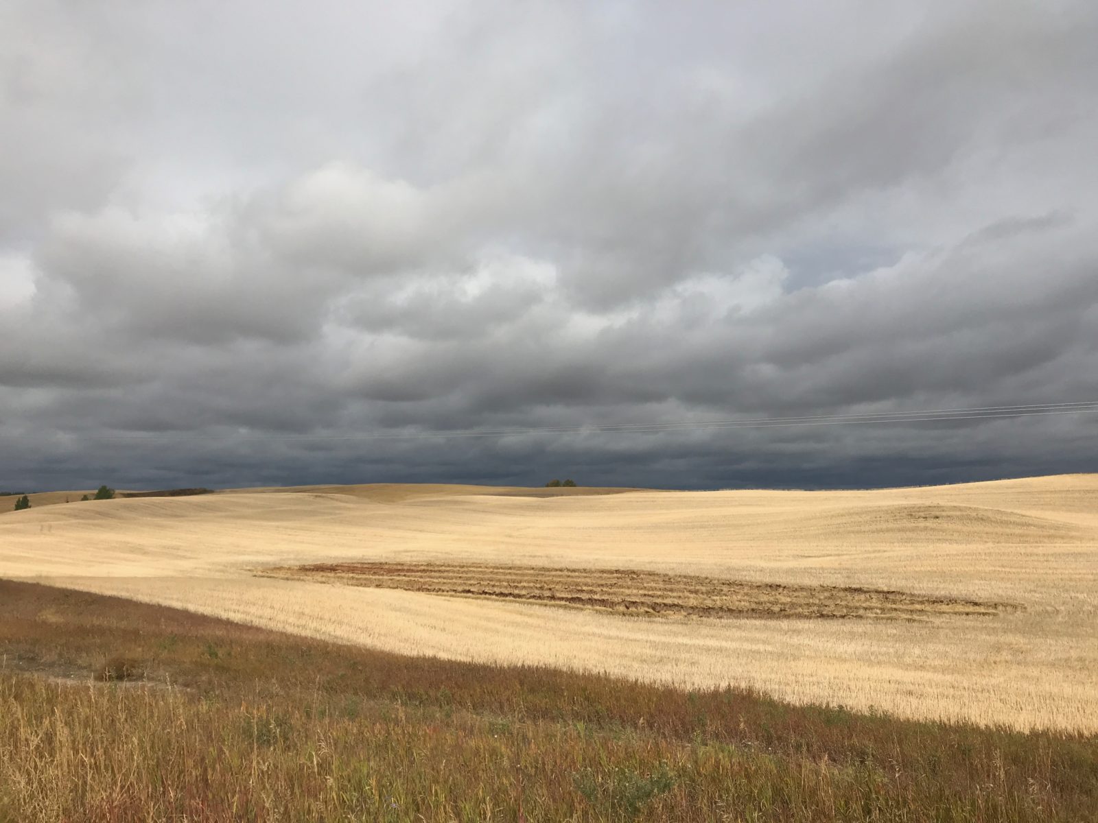 Traveling to Biggar, Saskatchewan to Find a Family's Prairie Beginnings ...