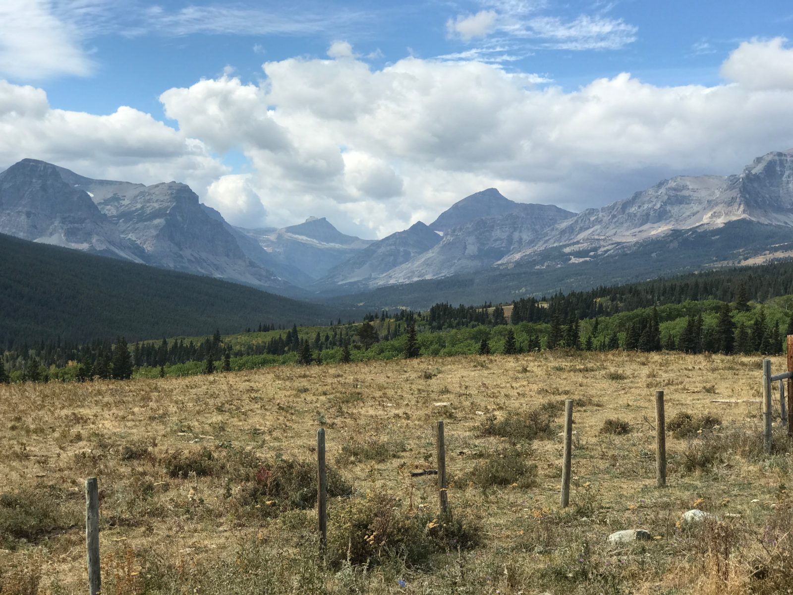Traveling to Biggar, Saskatchewan to Find a Family's Prairie Beginnings ...