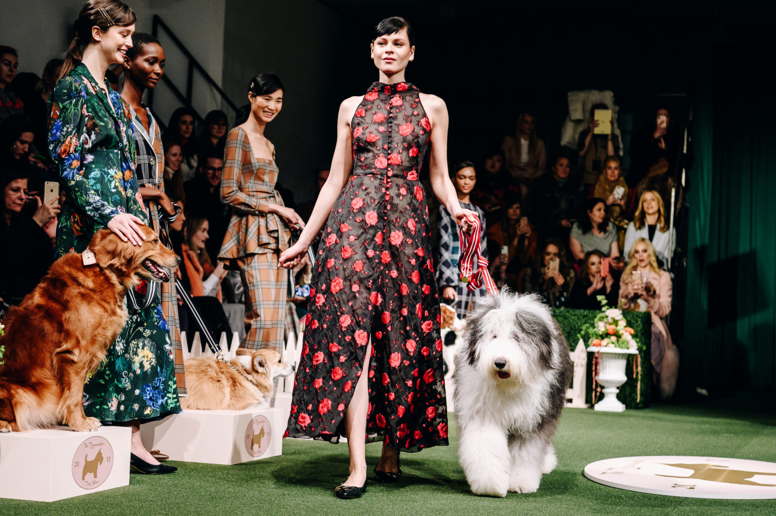 Texas Fashion Designer Puts On Her Own Dog Show at Fashion Week — and ...