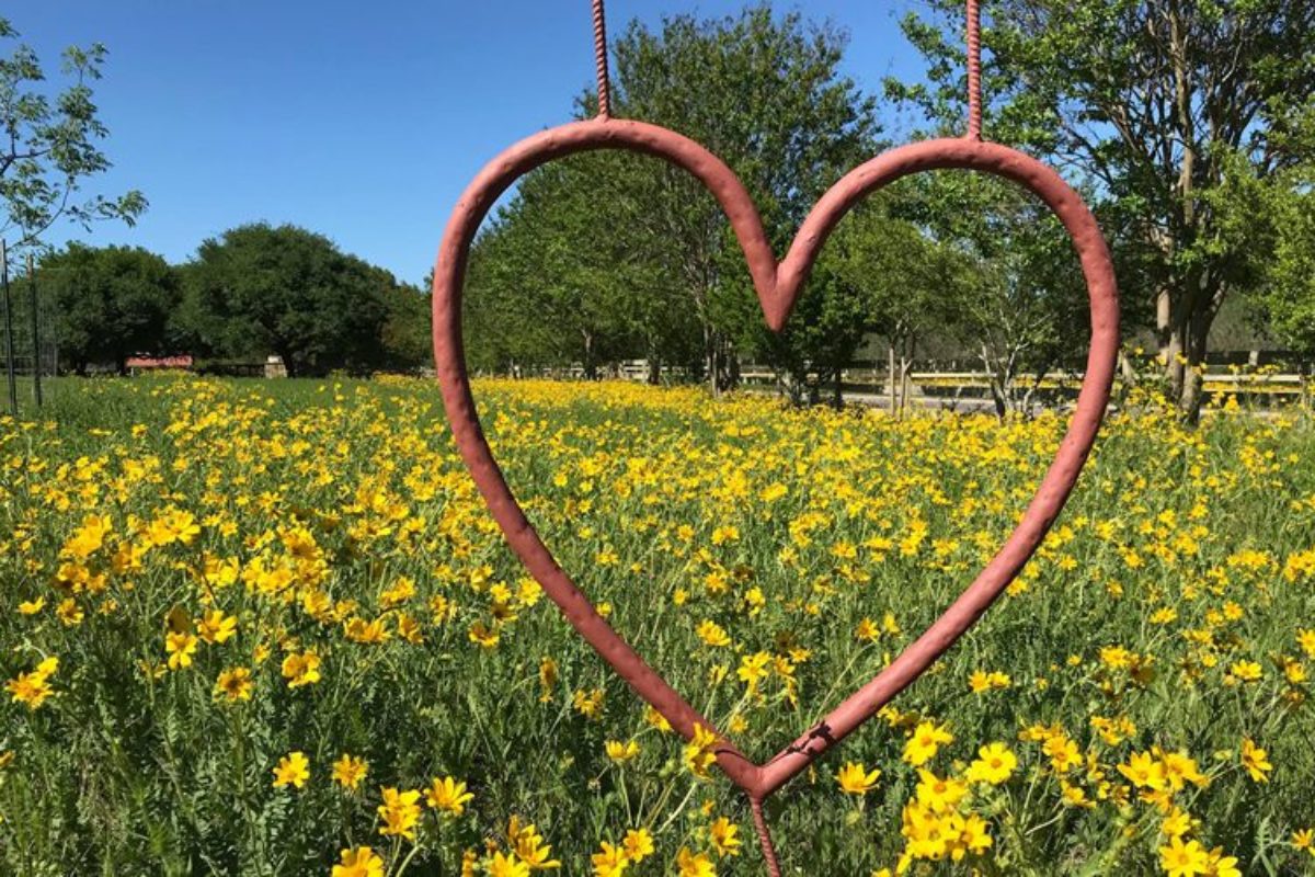 Texas' Most Beloved Summer Camps — Storied Overnight Camps are a ...