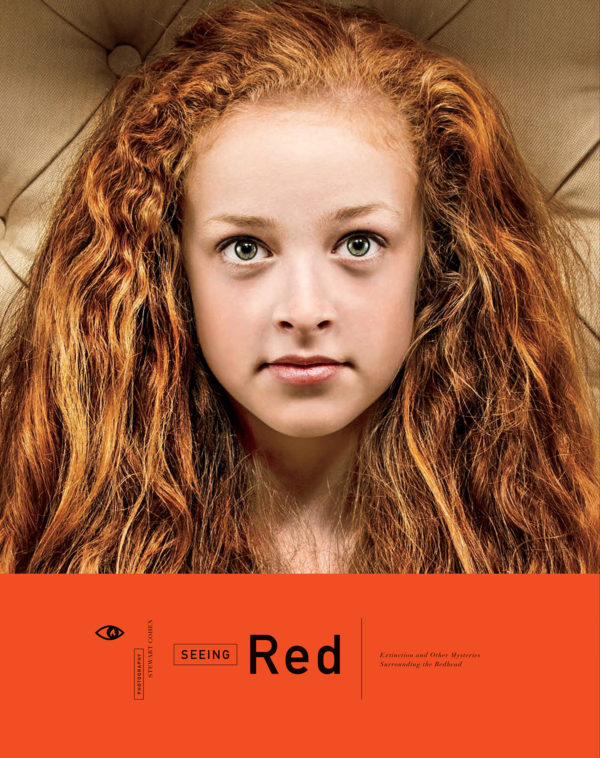 Stewart Cohen "Seeing Red" Book Signing - PaperCity Magazine