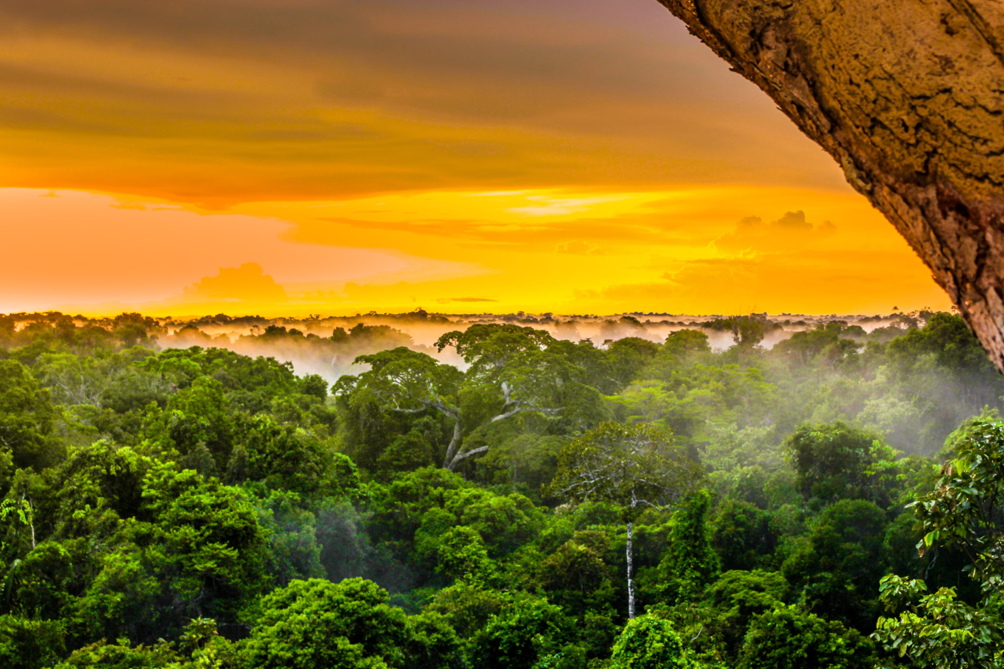 The Most Instagrammed Forests in the World — Stunning Nature Retreats ...