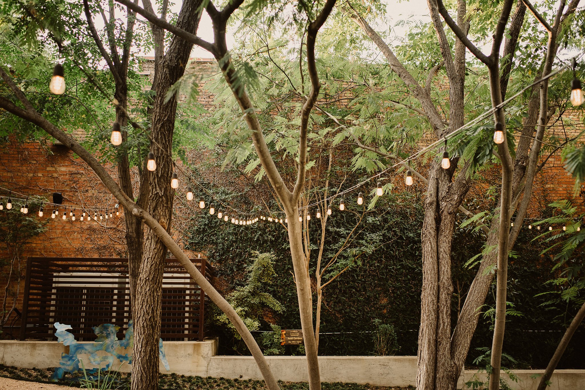 The Petite Party Founder Ally Ravnaas' Favorite Fort Worth Gems