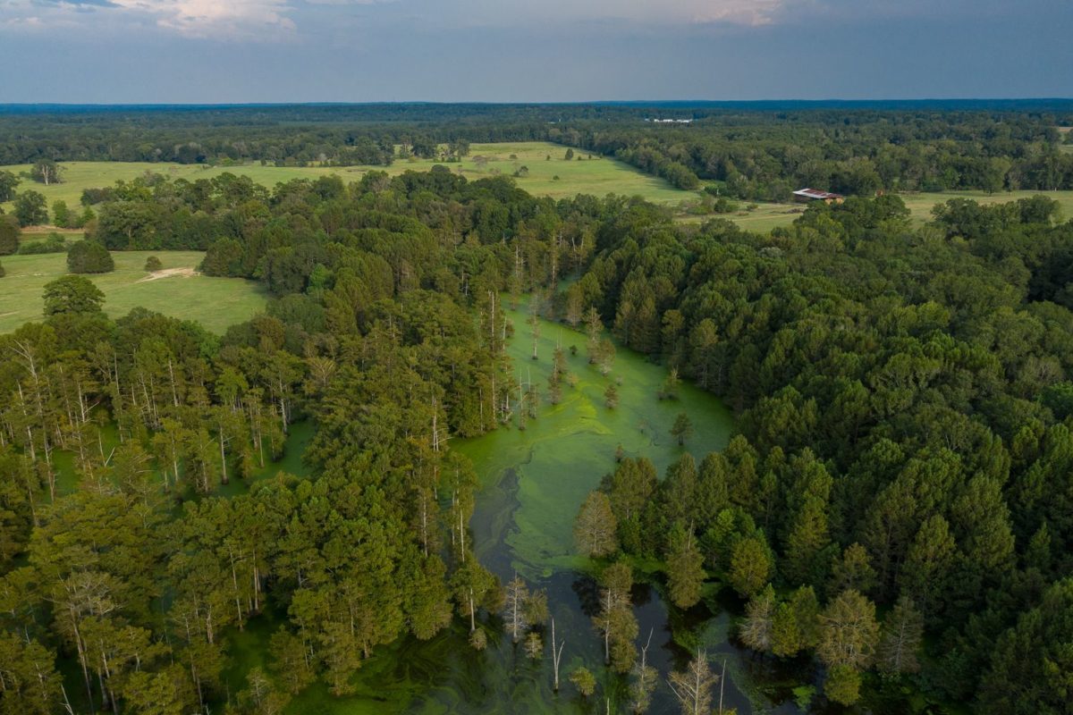 5 Iconic Texas Ranches for Sale — Rare Wonderlands With Real History ...