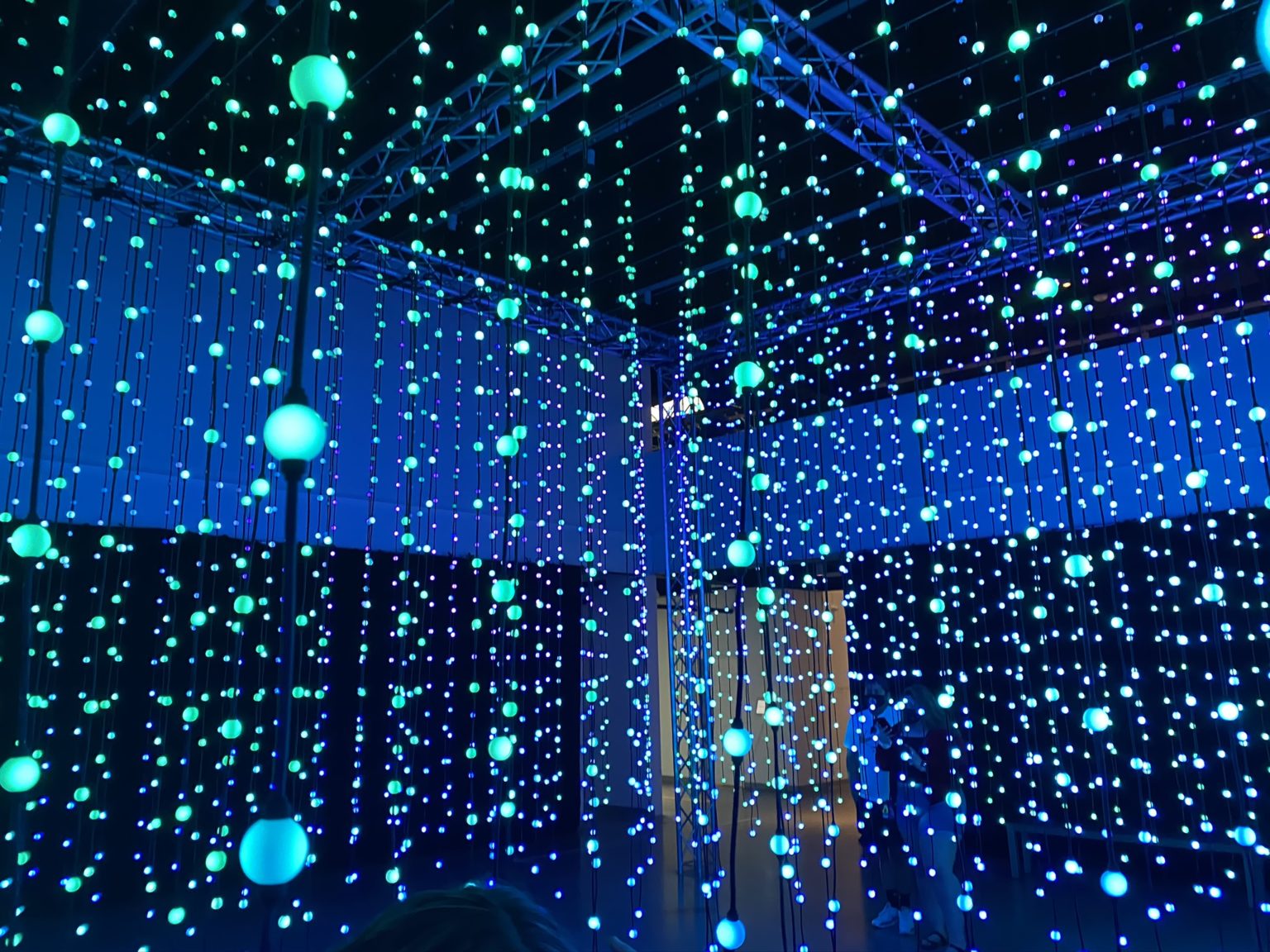 Austin Gets a New Art Wonderland — How Two Marines Created an ...