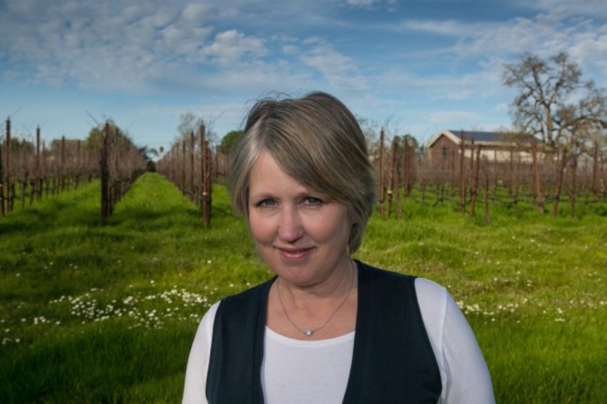 From French Literature to Crushing Grapes in Sonoma County — New Zoom ...