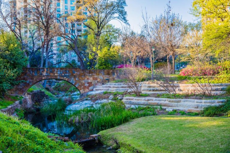 The Best Parks in Dallas for Walks, Picnics, and Play