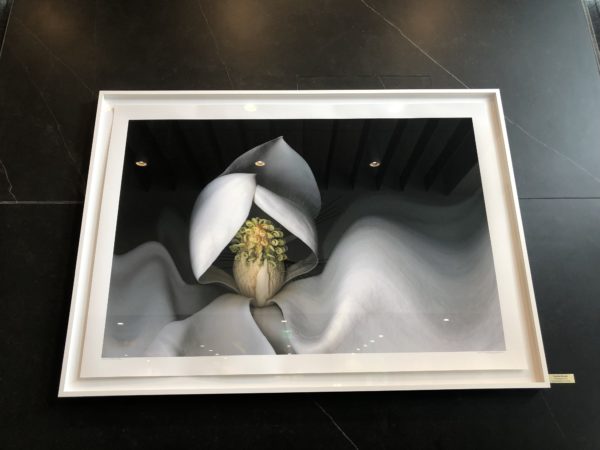 An Artful Tower — New Houston High-Rise Makes Gallery Worthy Works a ...