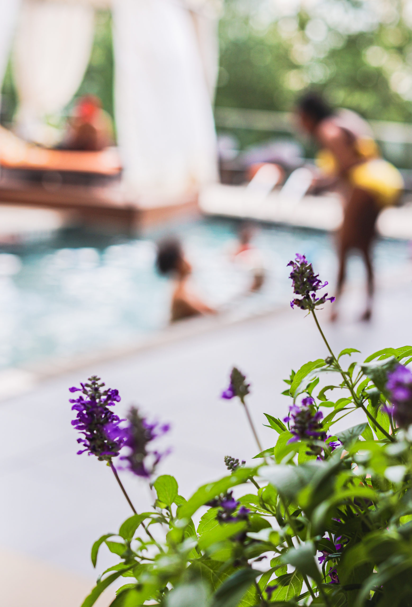 Great Texas Vacation Retreats and Staycation Spots That Put Pampering ...