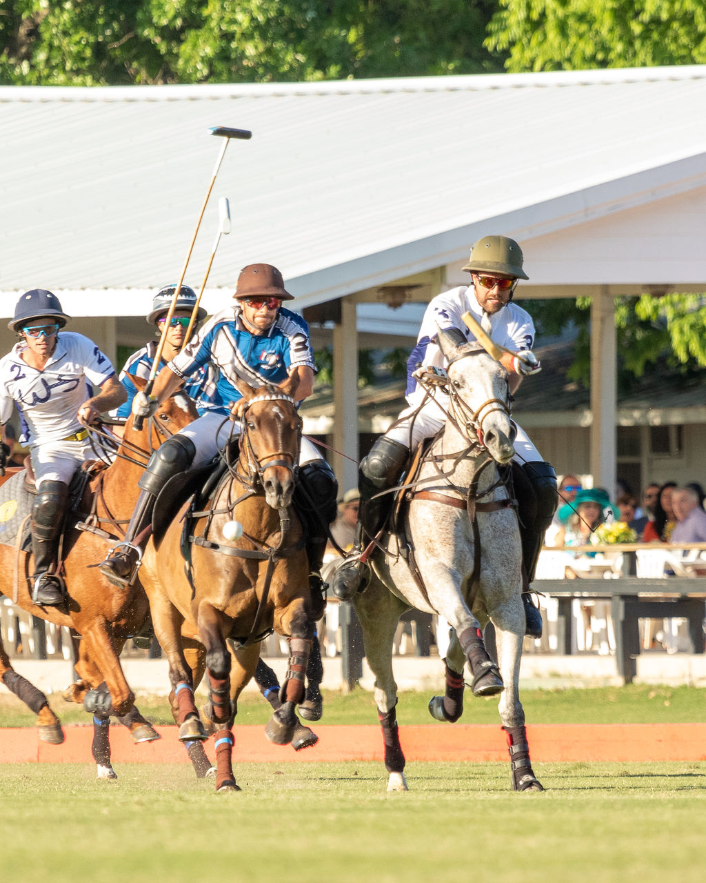 USPA Keleen and Carlton Beal Cup Presented by QR JETS - PaperCity Magazine