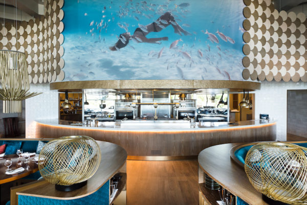 Texas Travel Files — The Cove at Atlantis, Bahamas