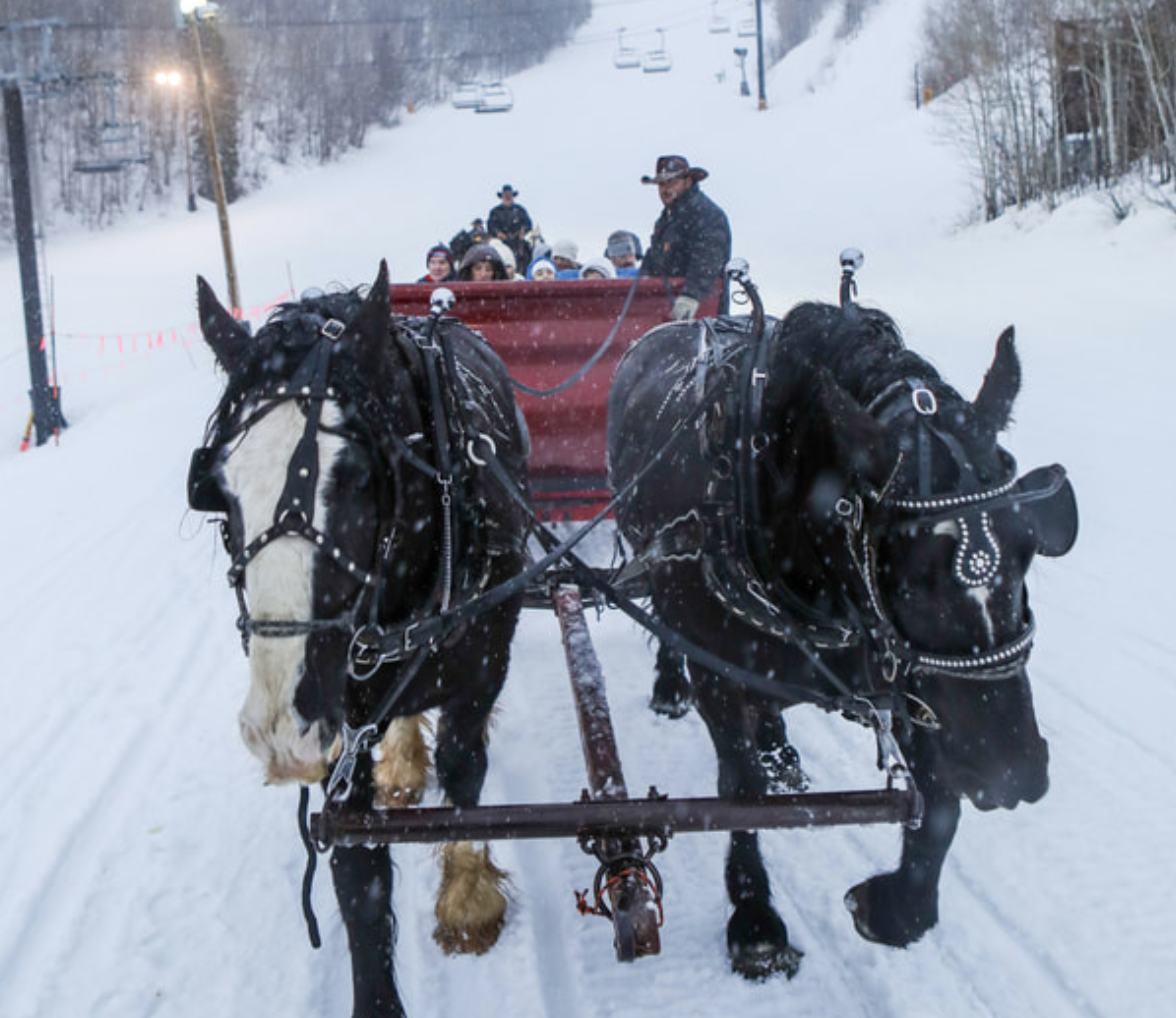 Texas Travel Files — Where to Book Holiday Horse Drawn Sleigh Rides