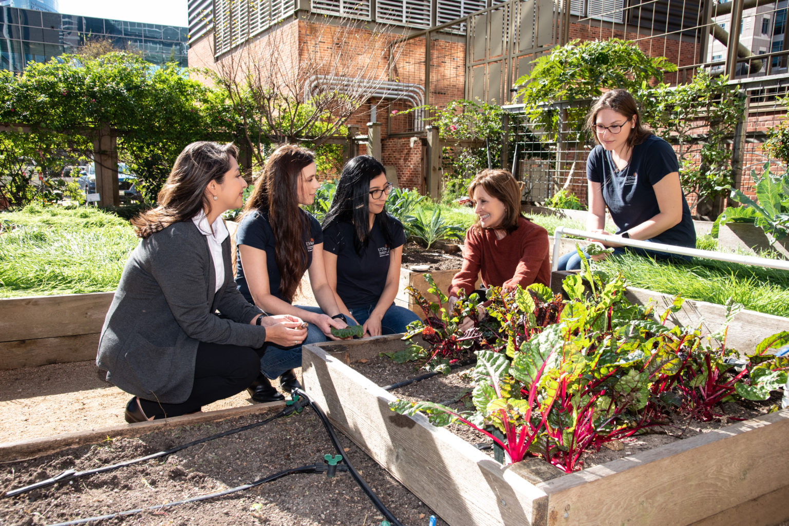 Making Healthy Food Tasty — UTHealth's Nourish Program, New Cookbook ...