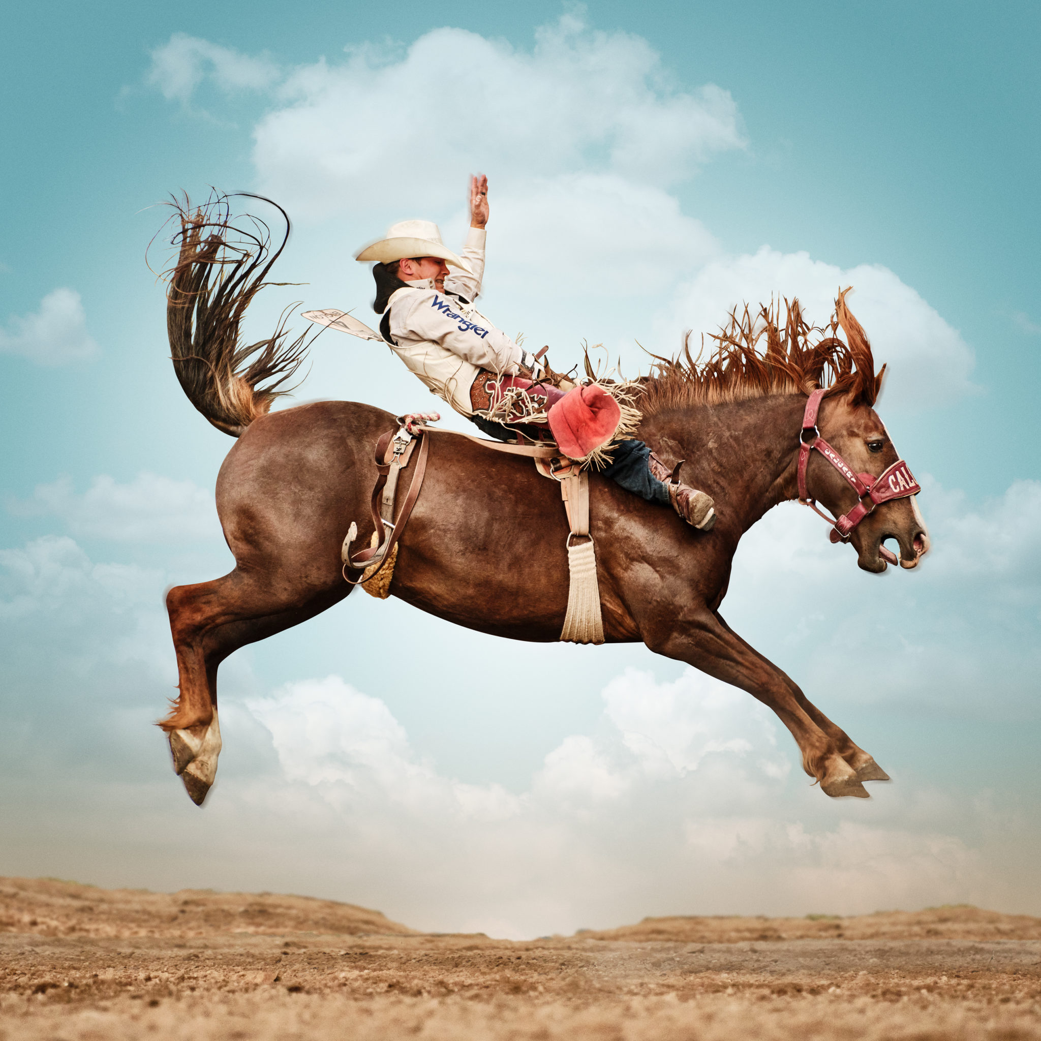 New Houston Art Mecca Embraces Rodeo Season — Inside Christopher Martin ...
