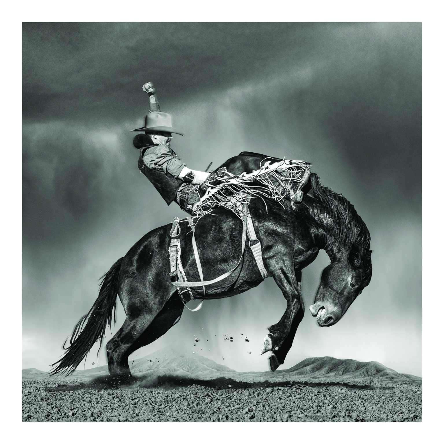 New Houston Art Mecca Embraces Rodeo Season — Inside Christopher Martin ...