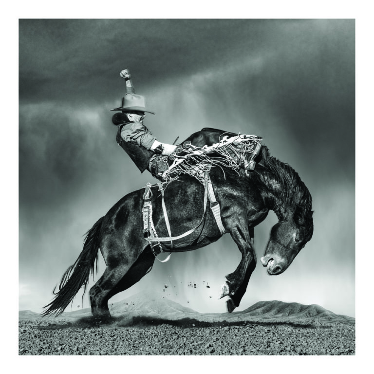 New Houston Art Mecca Embraces Rodeo Season — Inside Christopher Martin ...