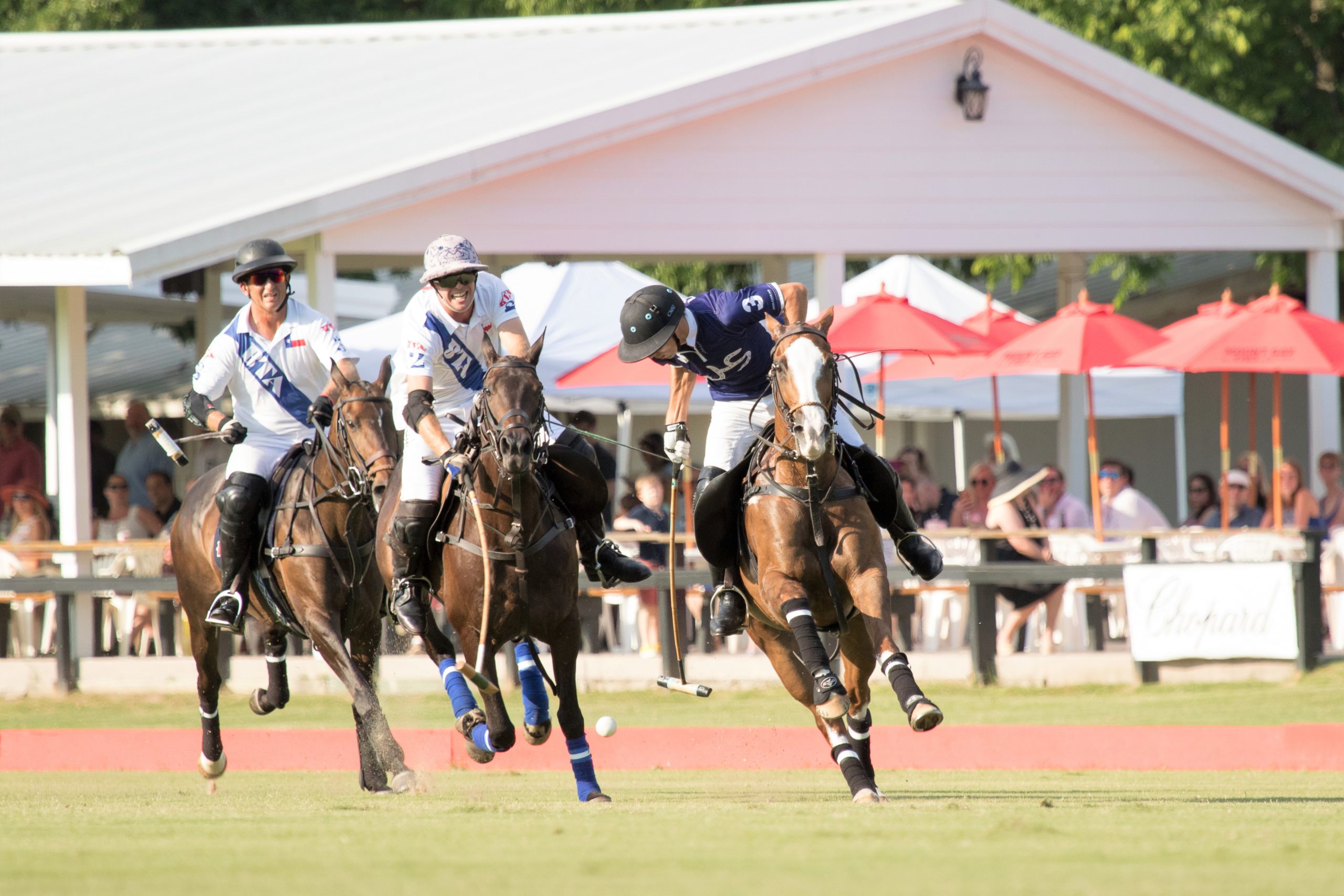 Bluebonnet Cup - PaperCity Magazine