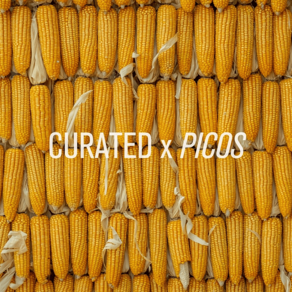 CURATED x PICOS - PaperCity Magazine