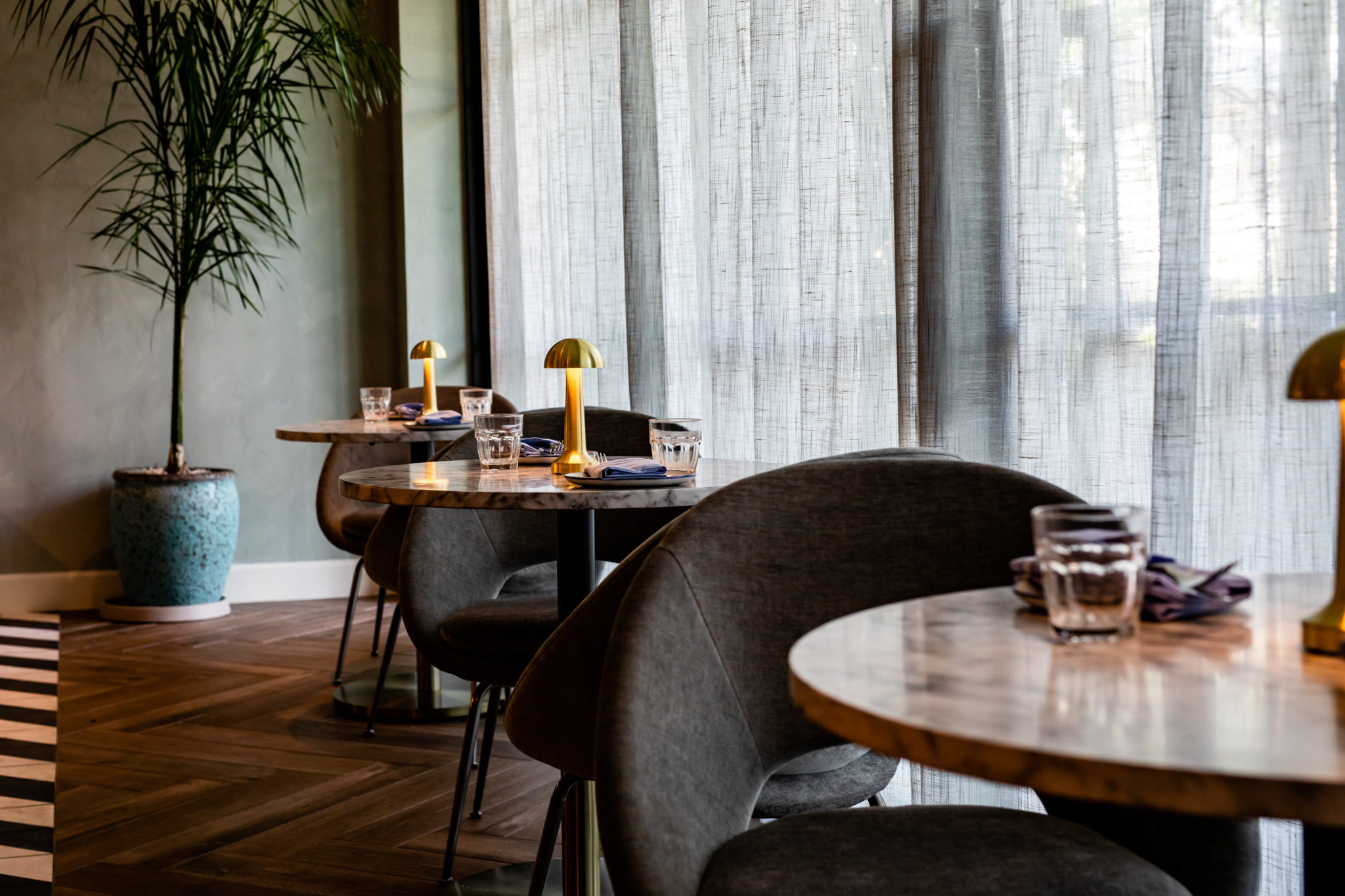 New Restaurant Brings Israel's Barbecue Level Sensation to Rice Village ...