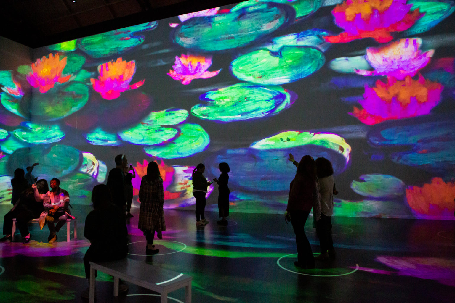 Houston's New Immersive Monet is the Largest Immersive Art Experience ...