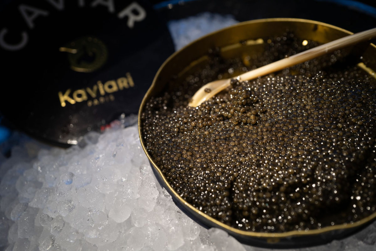 Houston's Top Chefs Battle in a Lavish Caviar Contest at The Astorian ...