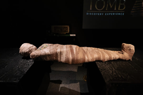 King Tut's Tomb Opening Brings a Surprise Mummy Reveal in Houston ...