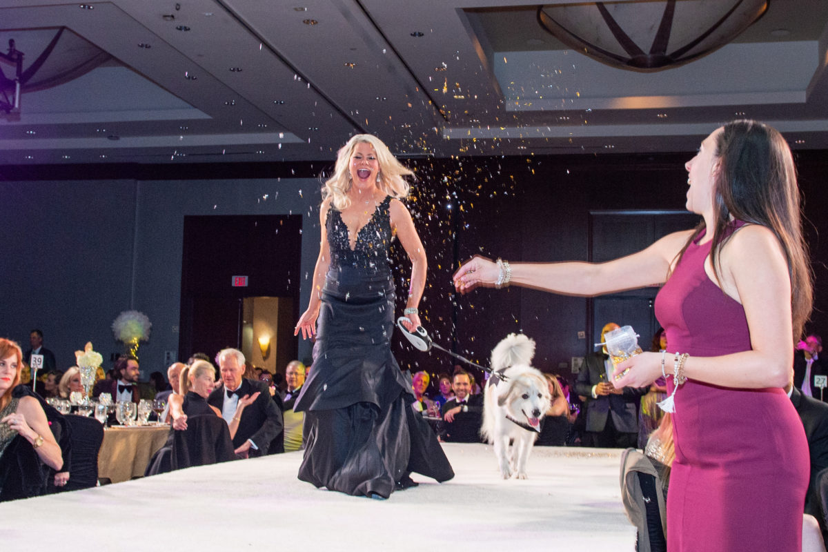 A Cat Beats the Dogs at Houston's Ultimate Animal Gala — This Pet of ...