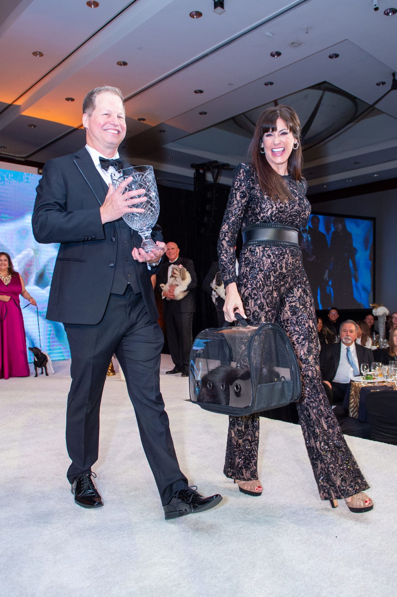 A Cat Beats the Dogs at Houston's Ultimate Animal Gala — This Pet of ...