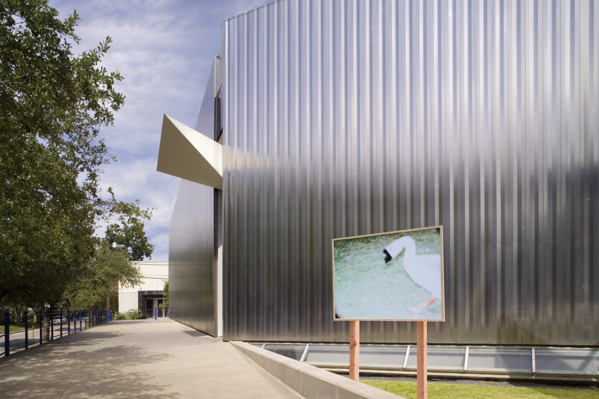 Embracing the Radical Legacy of Houston's Maverick Museum, CAMH Leader ...