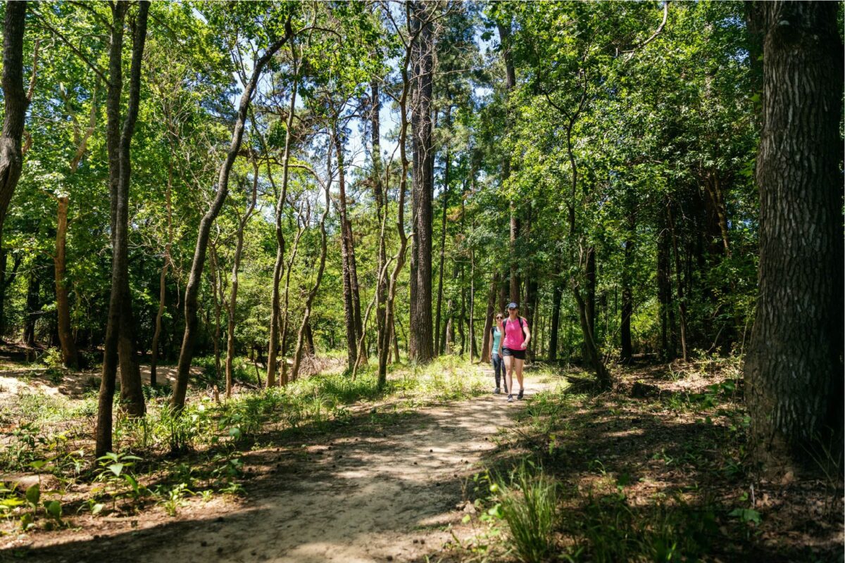 A Guide to the Best Parks in The Woodlands - PaperCity Magazine