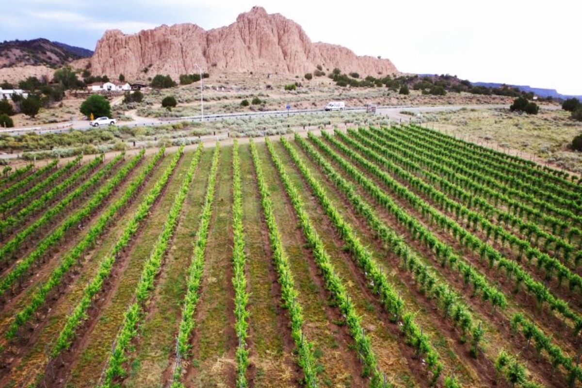 Diving Into New Mexico's Underrated Wine Power — The Land of ...
