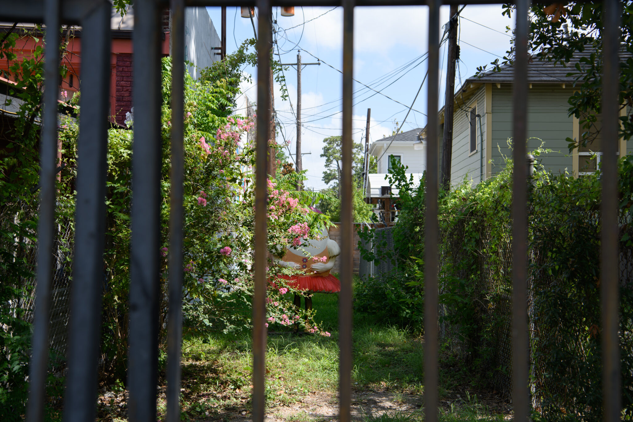 Beloved Cartoon Artist and Musician Is Remembered With an Unforgettable ...