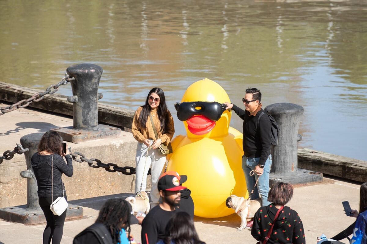 It’s Off to The (Duck) Races with Houston’s AFA This Fall - PaperCity ...